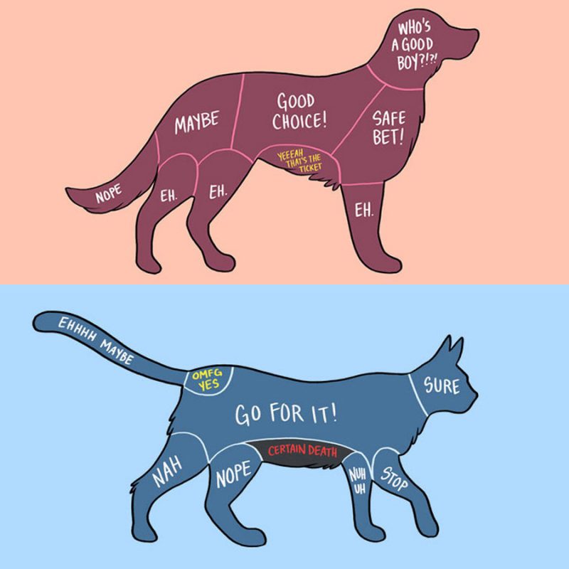 SNAPSHOTS – HowToBeADad.com